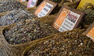 Quina y sus Beneficios | Tusplantasmedicinales.com